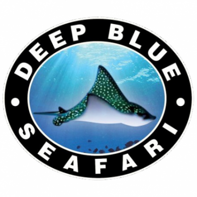 Deep-Blue - Fisheye Underwater Productions